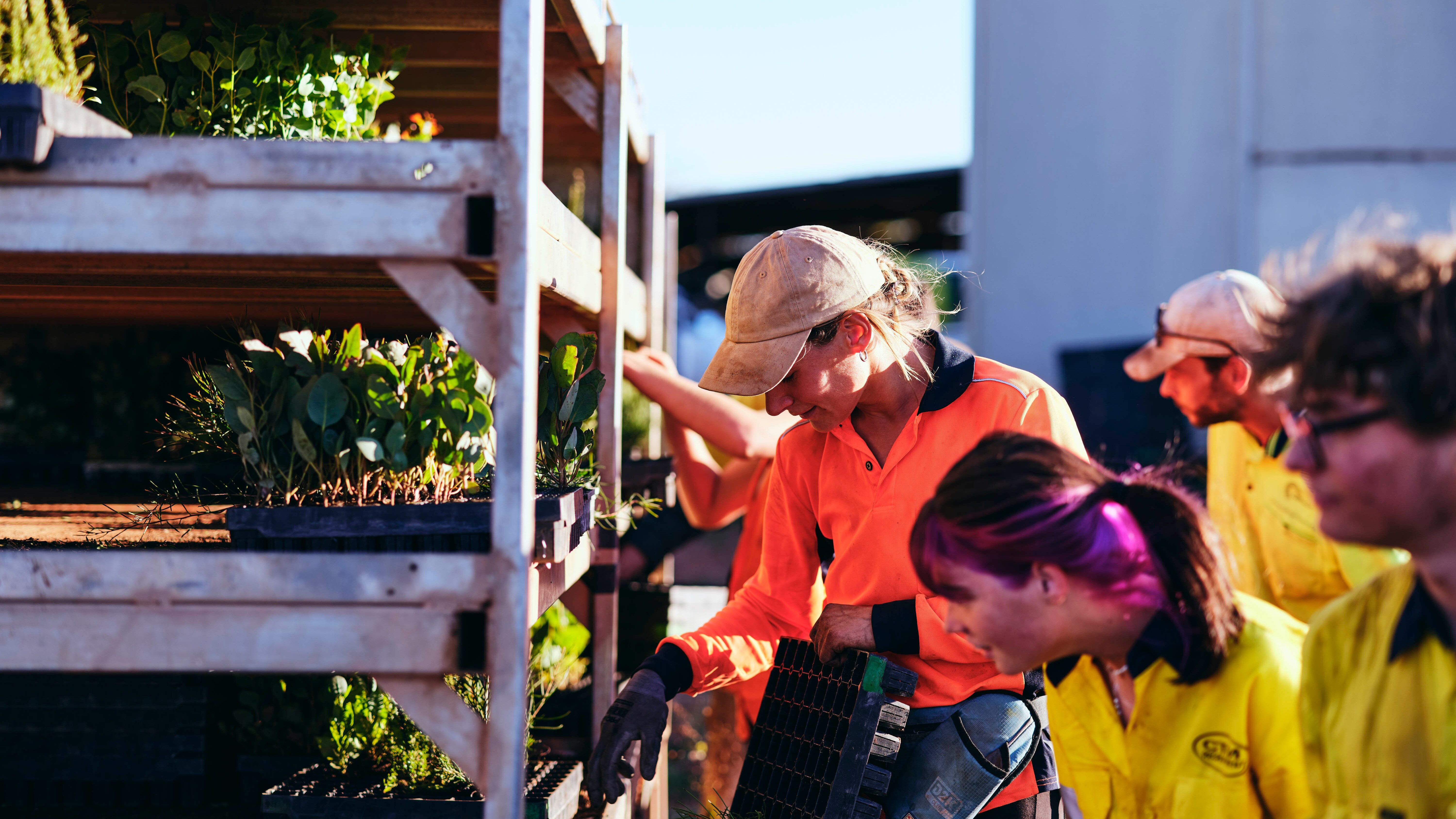 Restoring Forests Securing Our Future